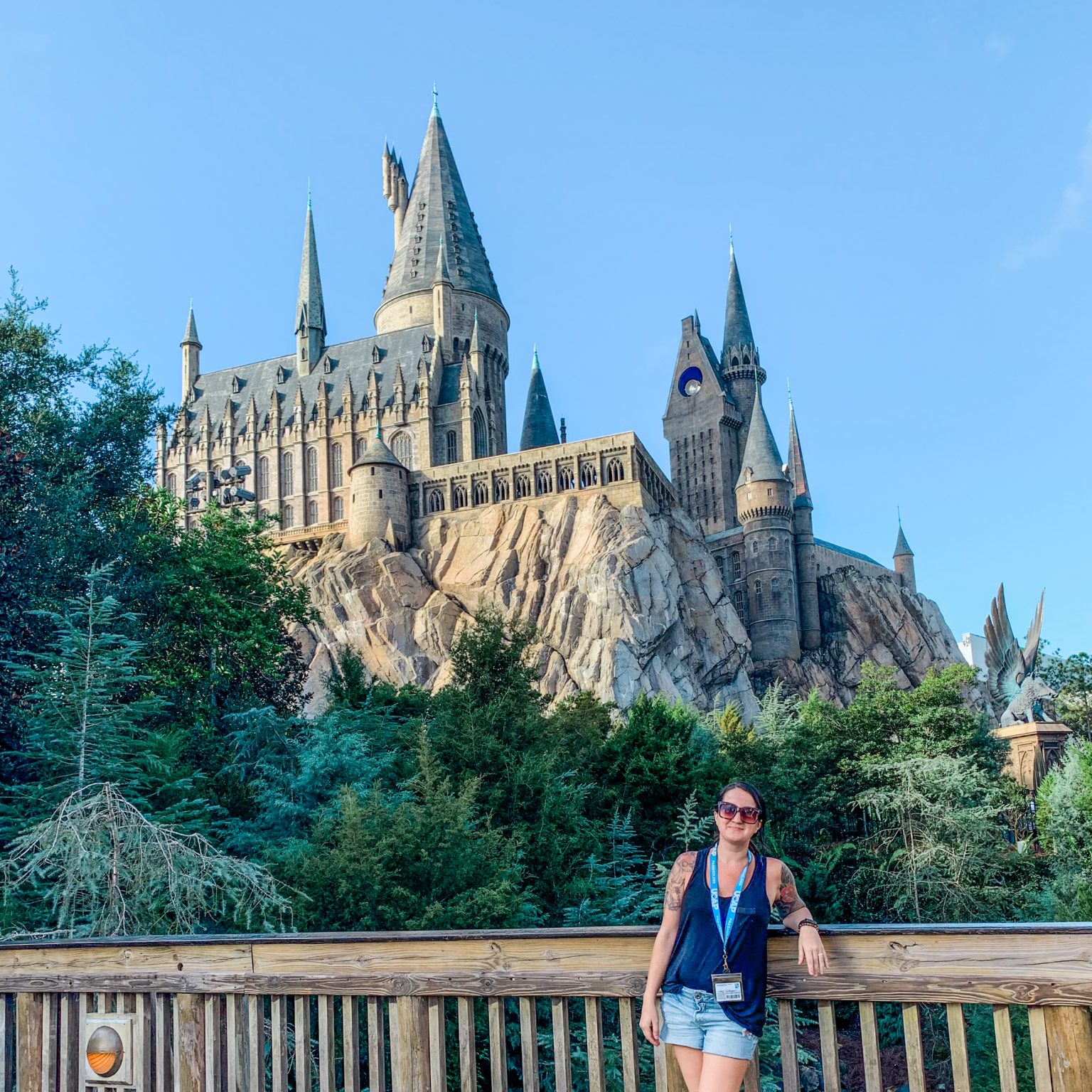 The best of the Wizarding World of Harry Potter for adults
