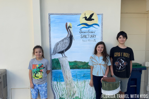 Seaside Seabird Sanctuary (Is it worth visiting?)