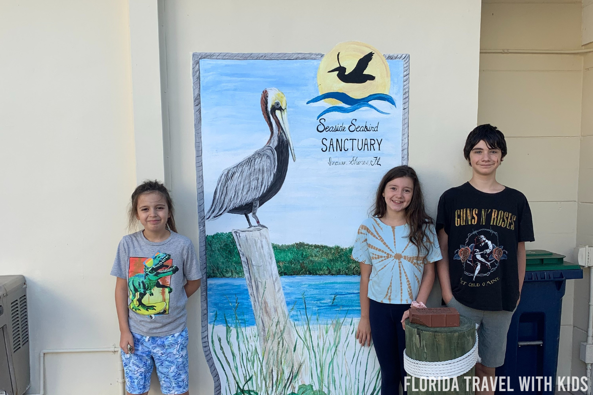 Seaside Seabird Sanctuary (Is it worth visiting?)