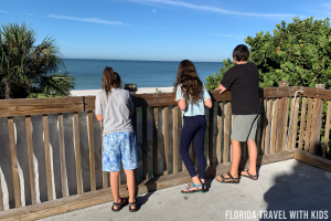 Seaside Seabird Sanctuary (Is it worth visiting?)