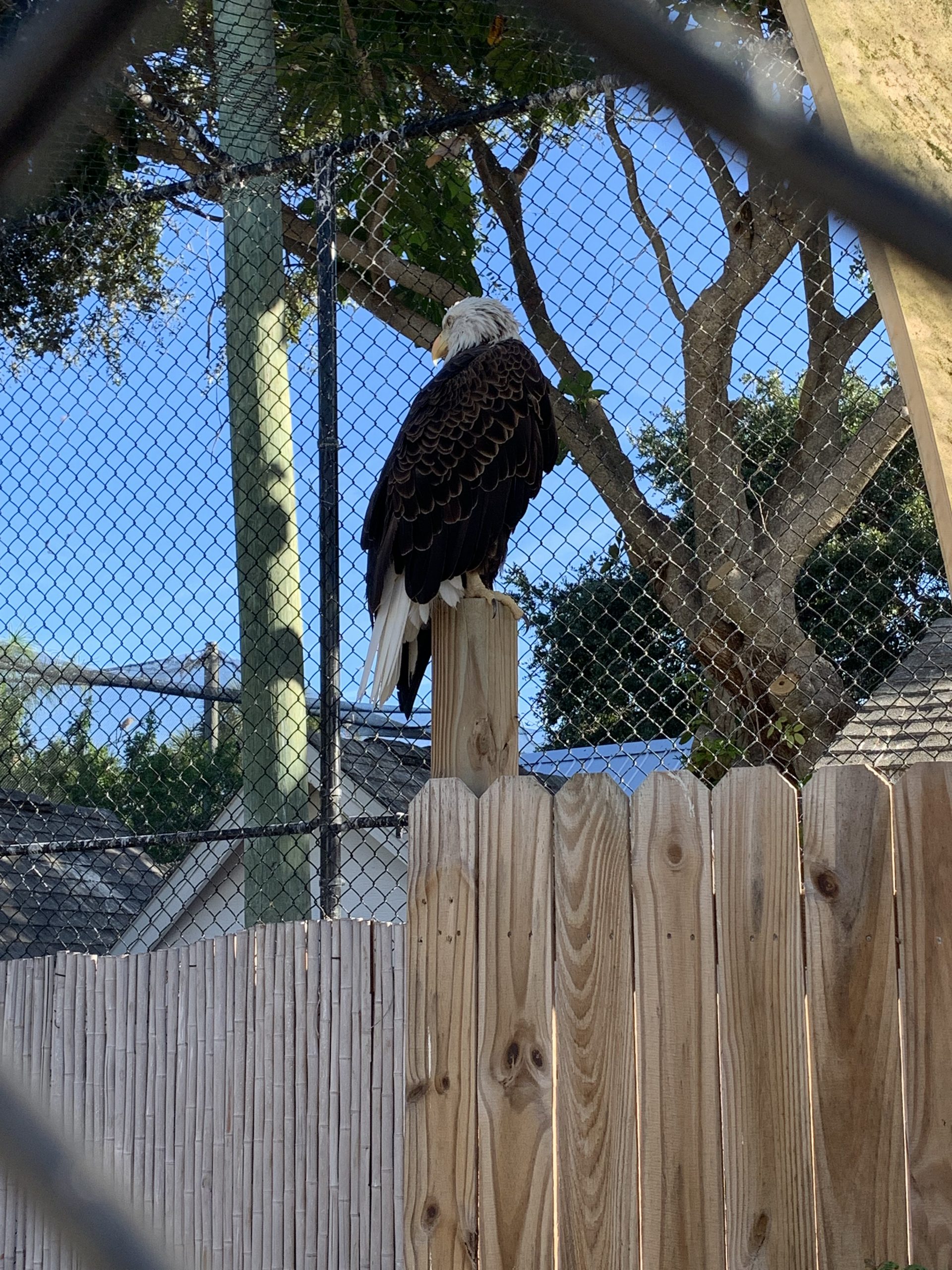 Seaside Seabird Sanctuary (Is it worth visiting?)