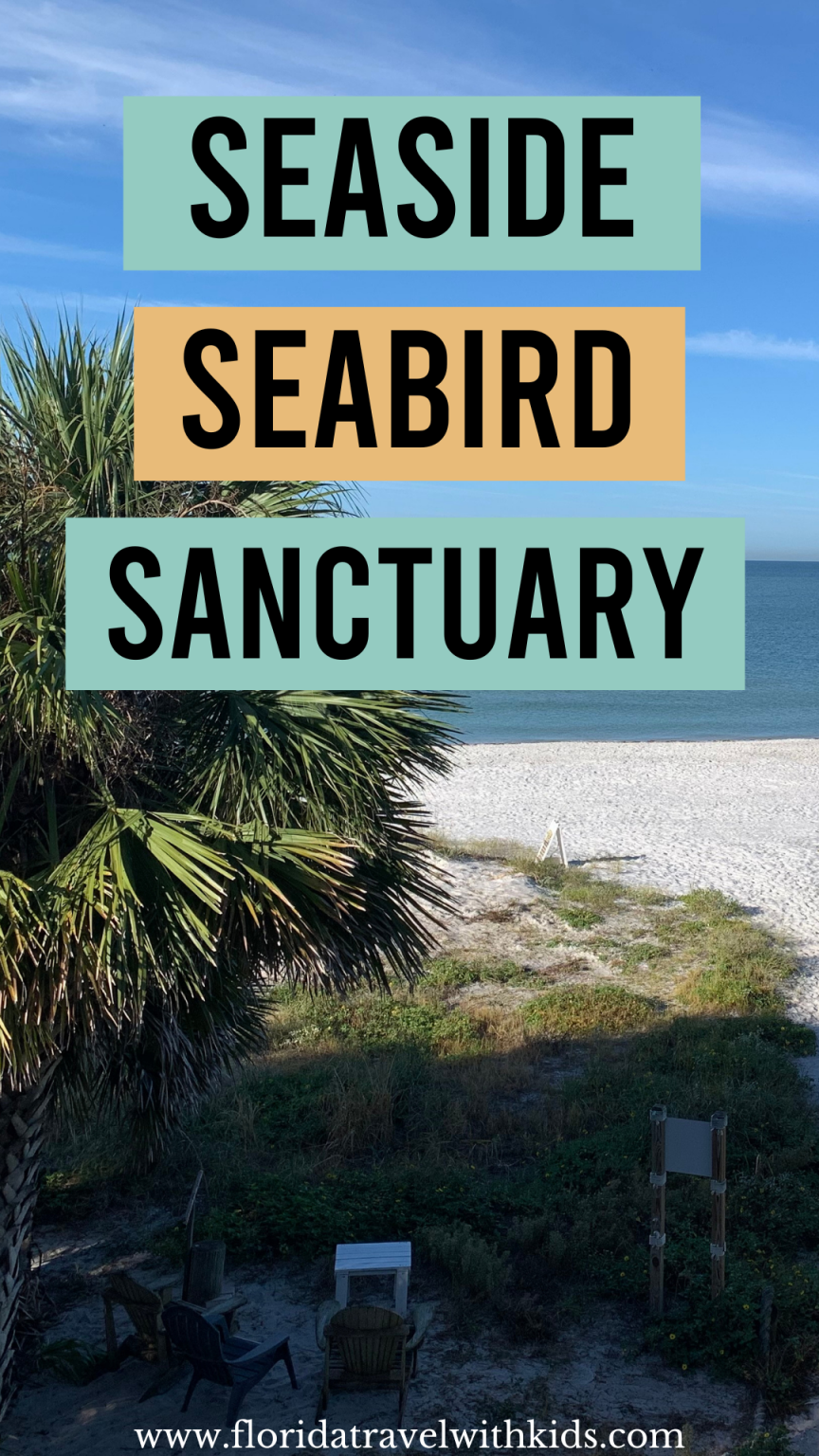 Seaside Seabird Sanctuary (Is it worth visiting?)