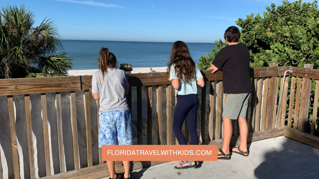 Seaside Seabird Sanctuary (Is it worth visiting?)