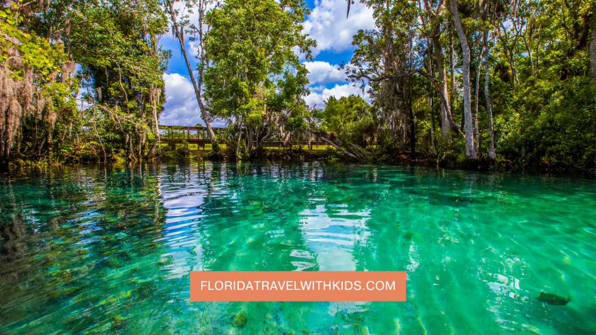 The 26 best places to kayak in Florida