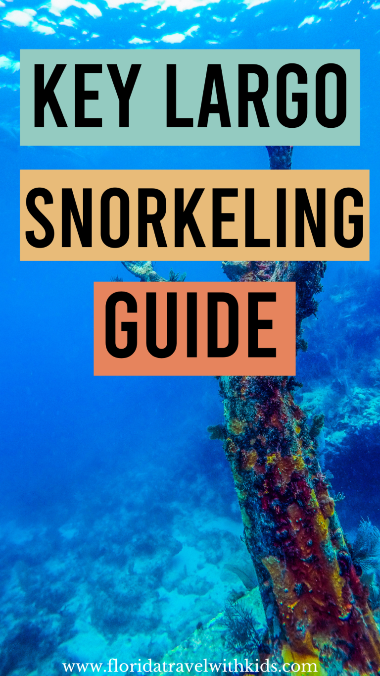 A complete guide to Key Largo Florida Snorkeling