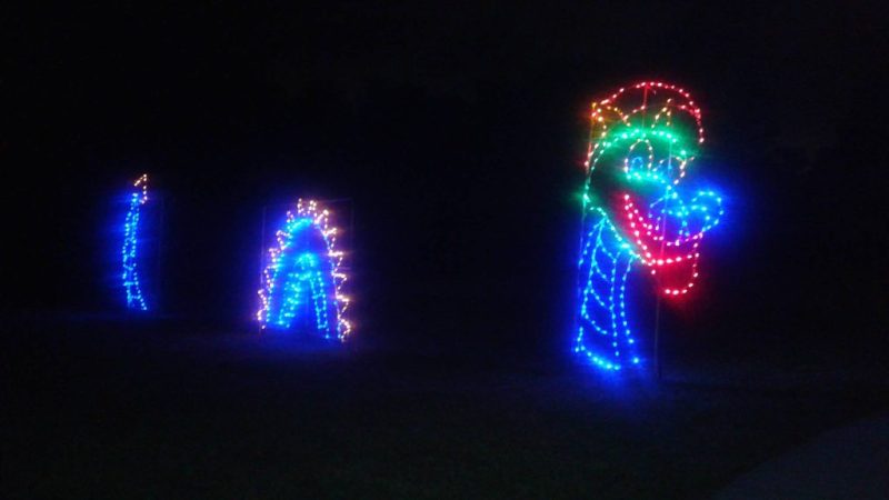 The Best Christmas Lights Drive Thru in Florida