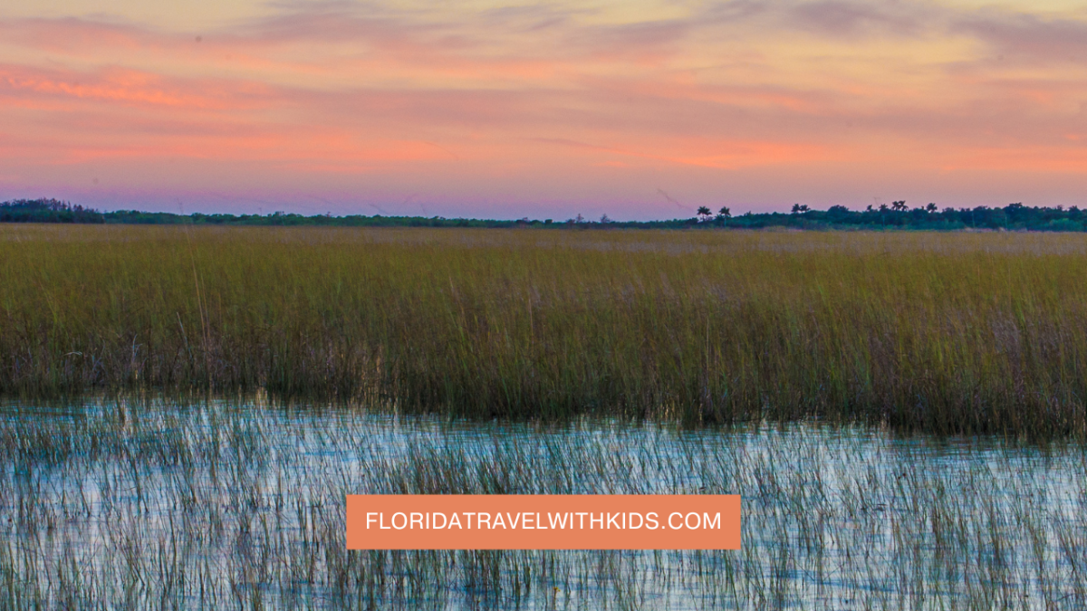 The Ultimate List of Florida National Parks