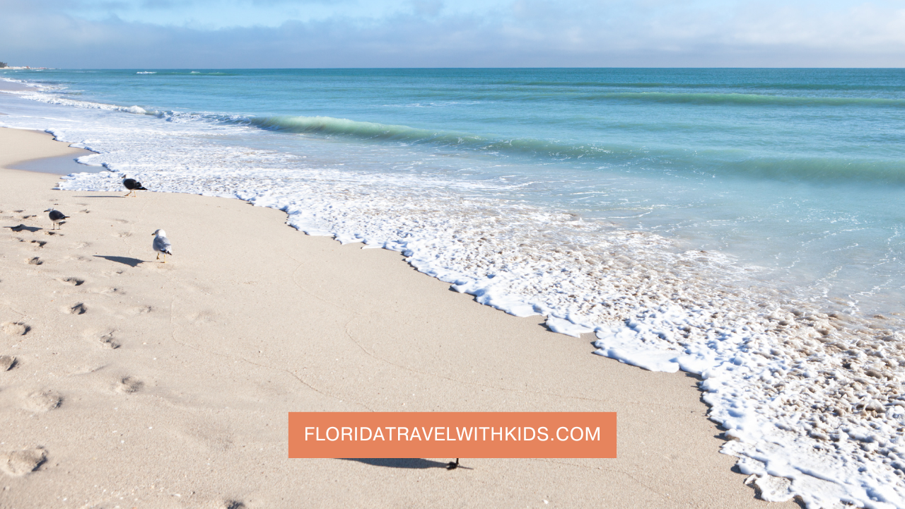 The 10 best Florida beaches for kids
